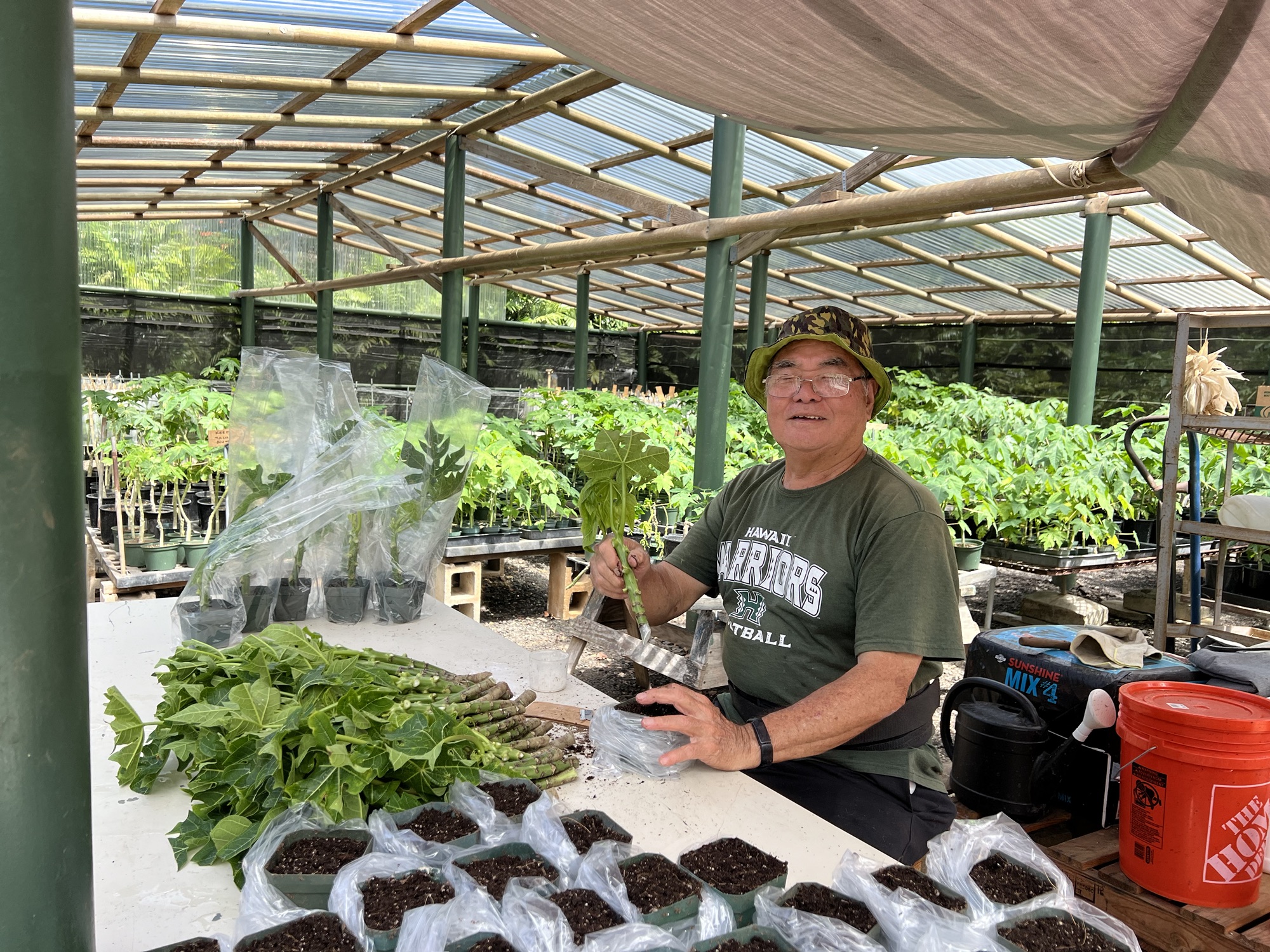 Innovation: The Heart of Sustainability – HawaiiFarmersDaughter